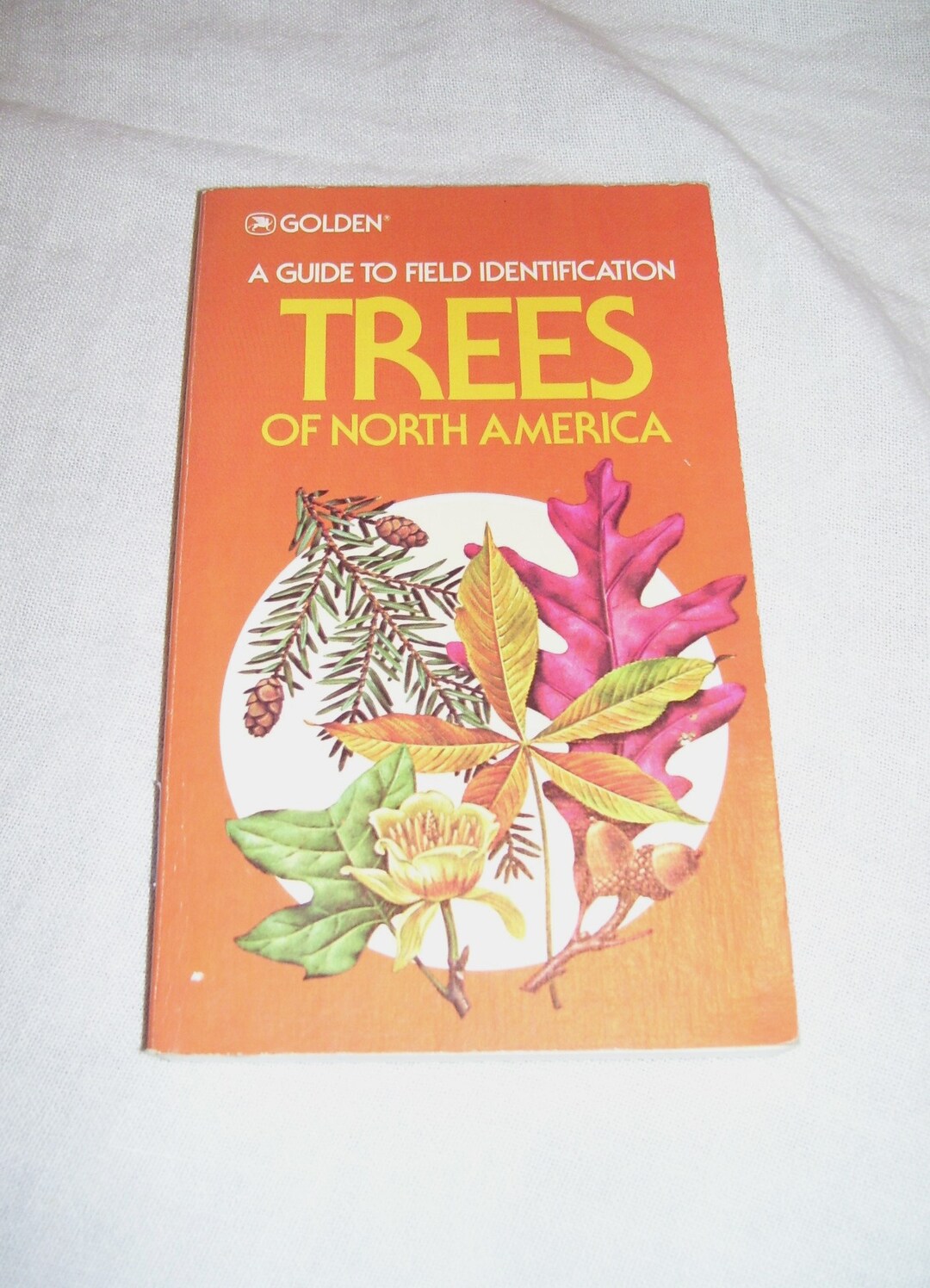 Golden Field Guide Trees of North America 1979 Vintage - Etsy