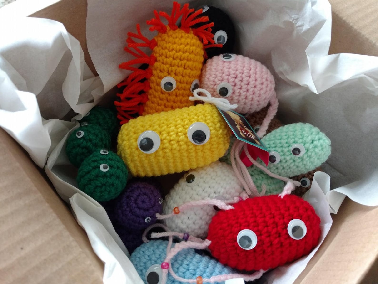 Amigurumi Crochet Bacteria Plush Toy, Cute Stuffed Microbes - Etsy