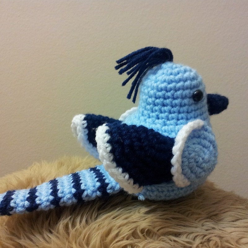 Baby Blue Jay - Etsy