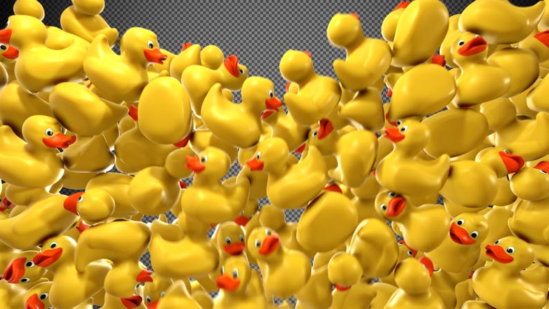 Rubber Duck | Animated Overlay | Raid Alert & Stinger Transition for ...