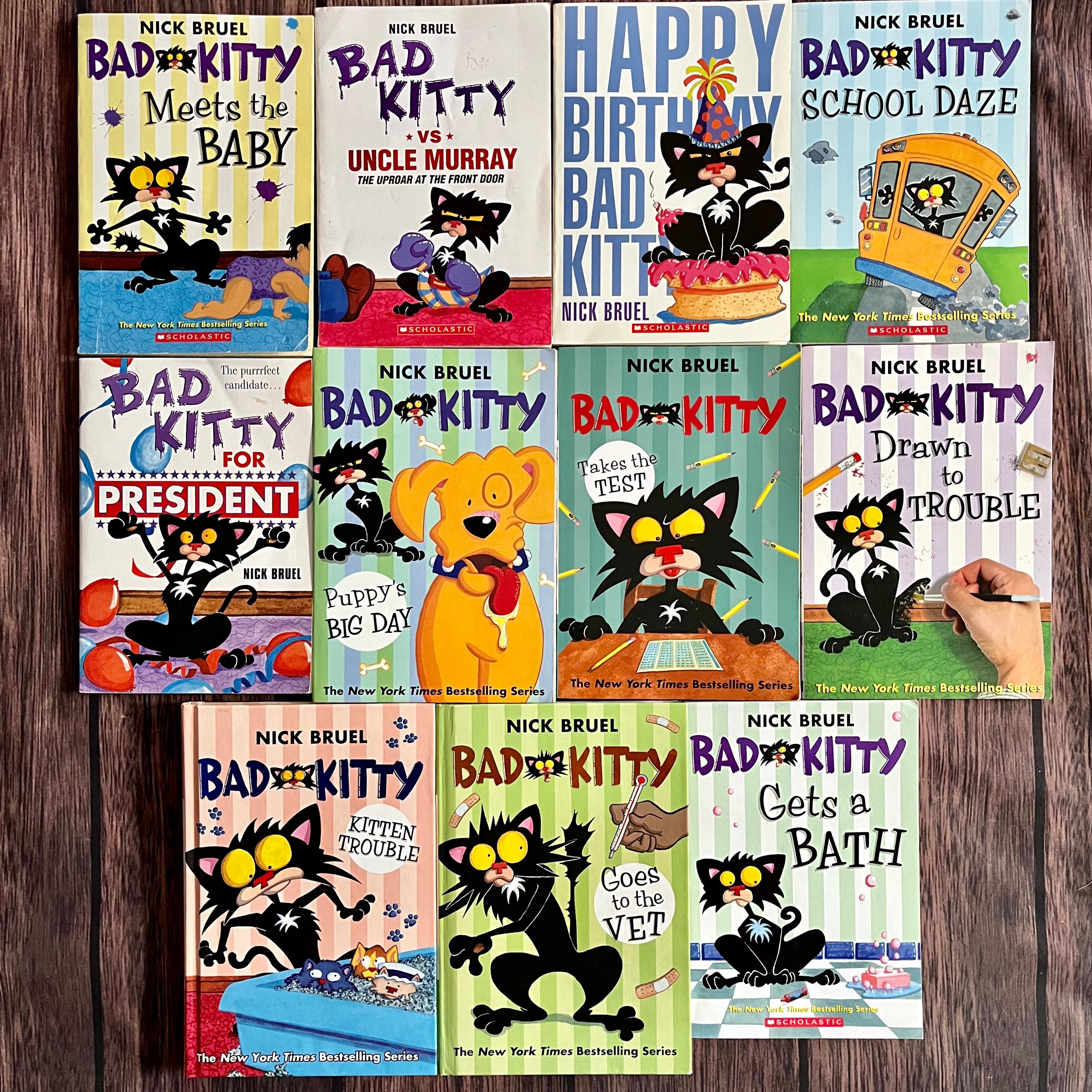 Bad Kitty For President