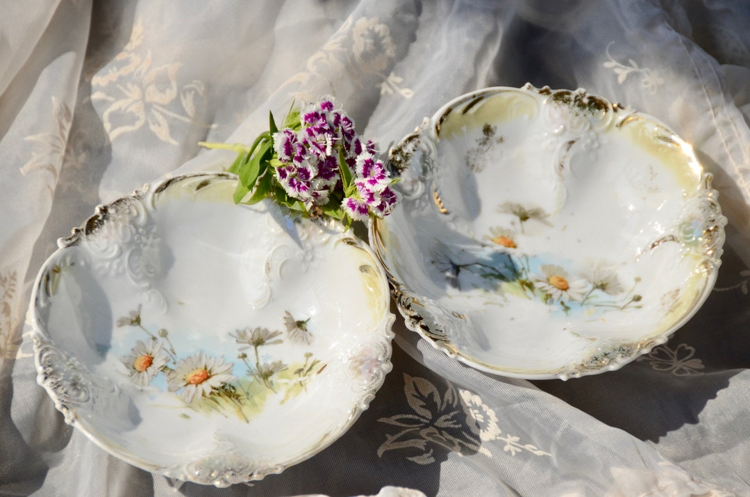 Antique IPF Germany BOWLS Porcelain Daisy | 1900s Porcelain Berry Bowls ...
