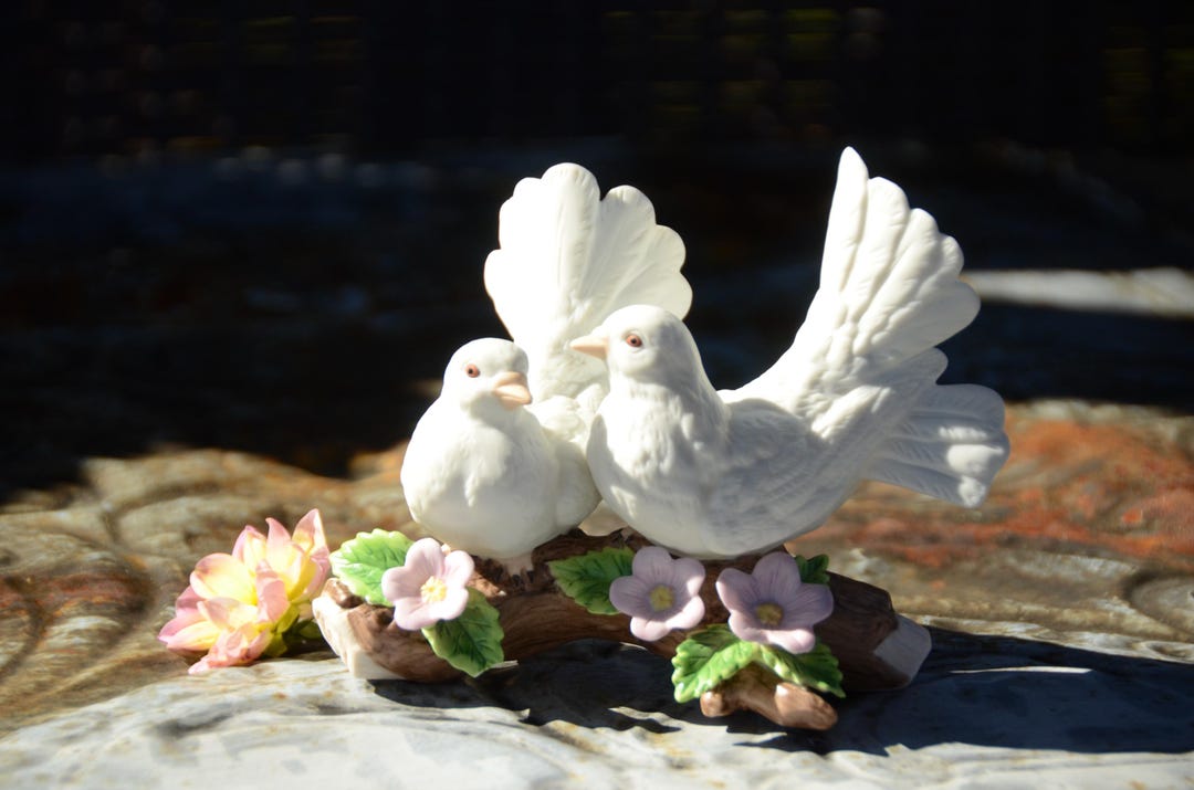 COURTSHIP DOVES White Doves on Dogwood or Cherry Blossom Tree Branch ...