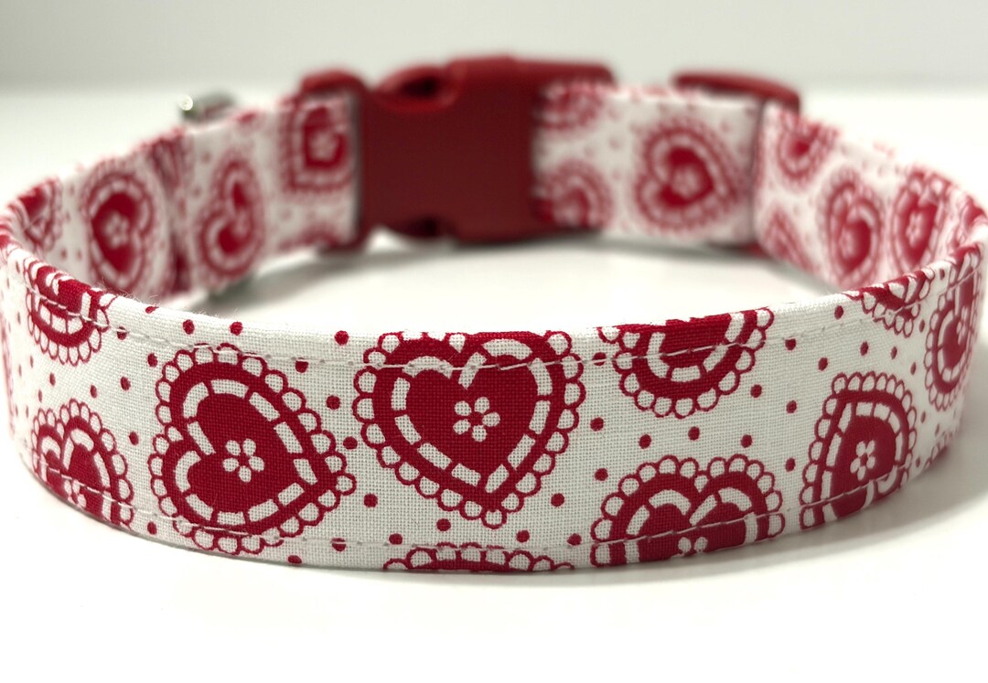True Love Dog Collar - Removable Flower Optional - Etsy