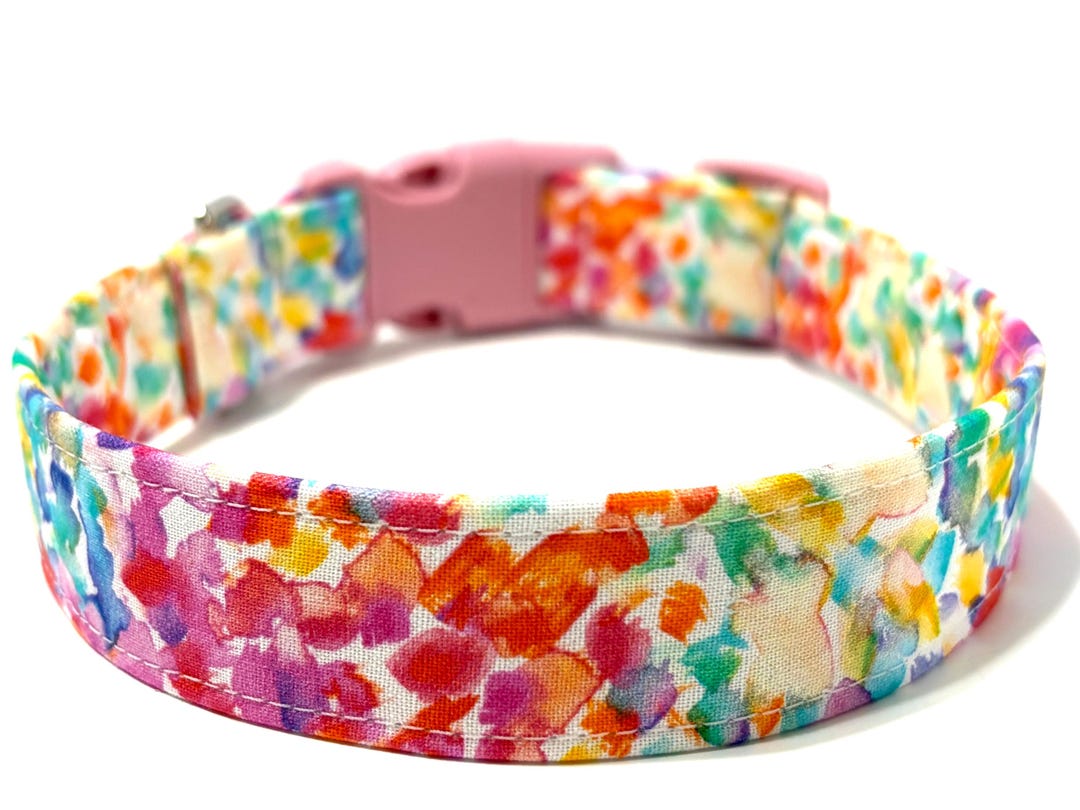 Colorburst Dog Collar - Etsy