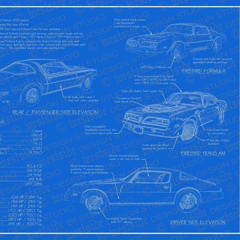 Trans Am Decals - Etsy