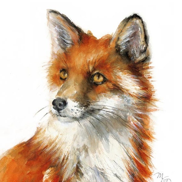Red Fox Illustration - Etsy