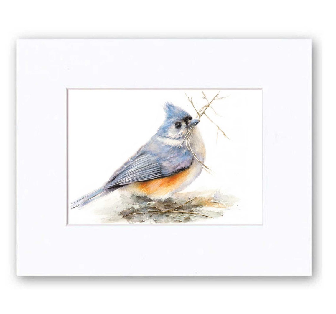 Tufted Titmouse Giclee Print of Watercolor Painting. Bird - Etsy