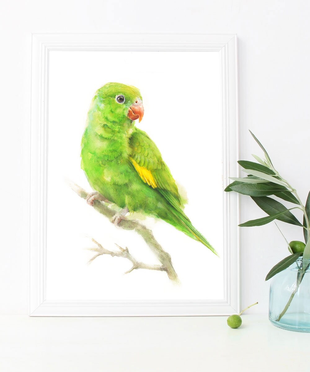 Green Parrot Painting