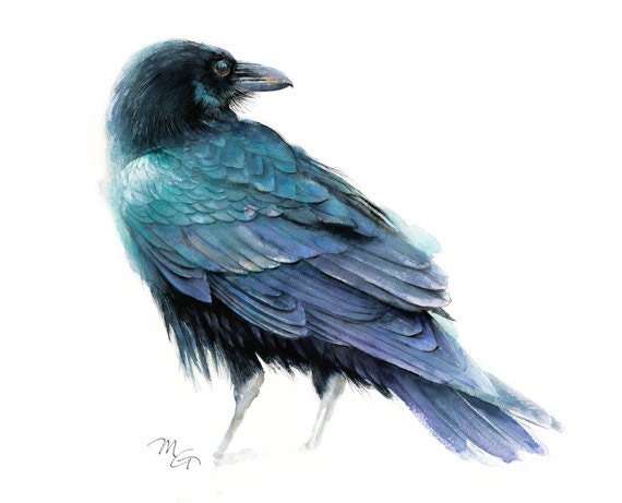 Watercolor Raven