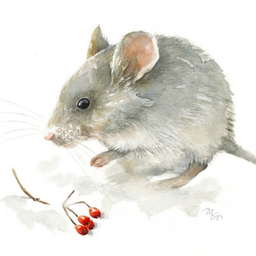 Mouse Watercolor Painting Art Print. Nature or Animal - Etsy