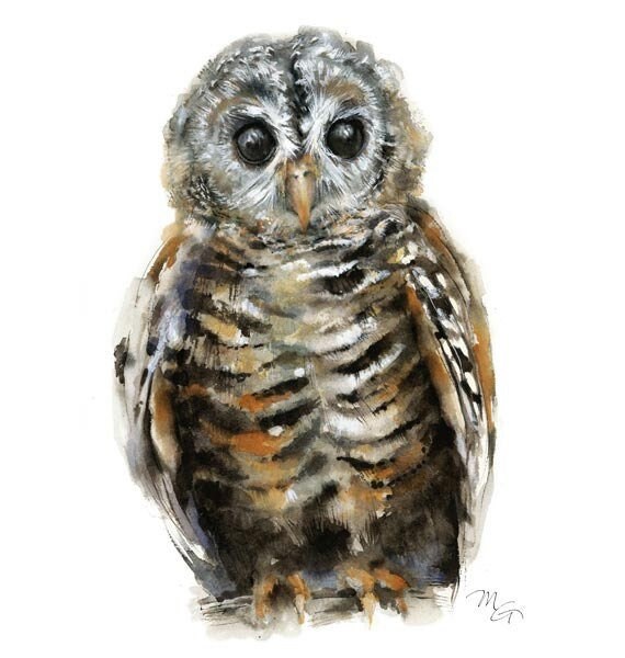 Modern Owl Art