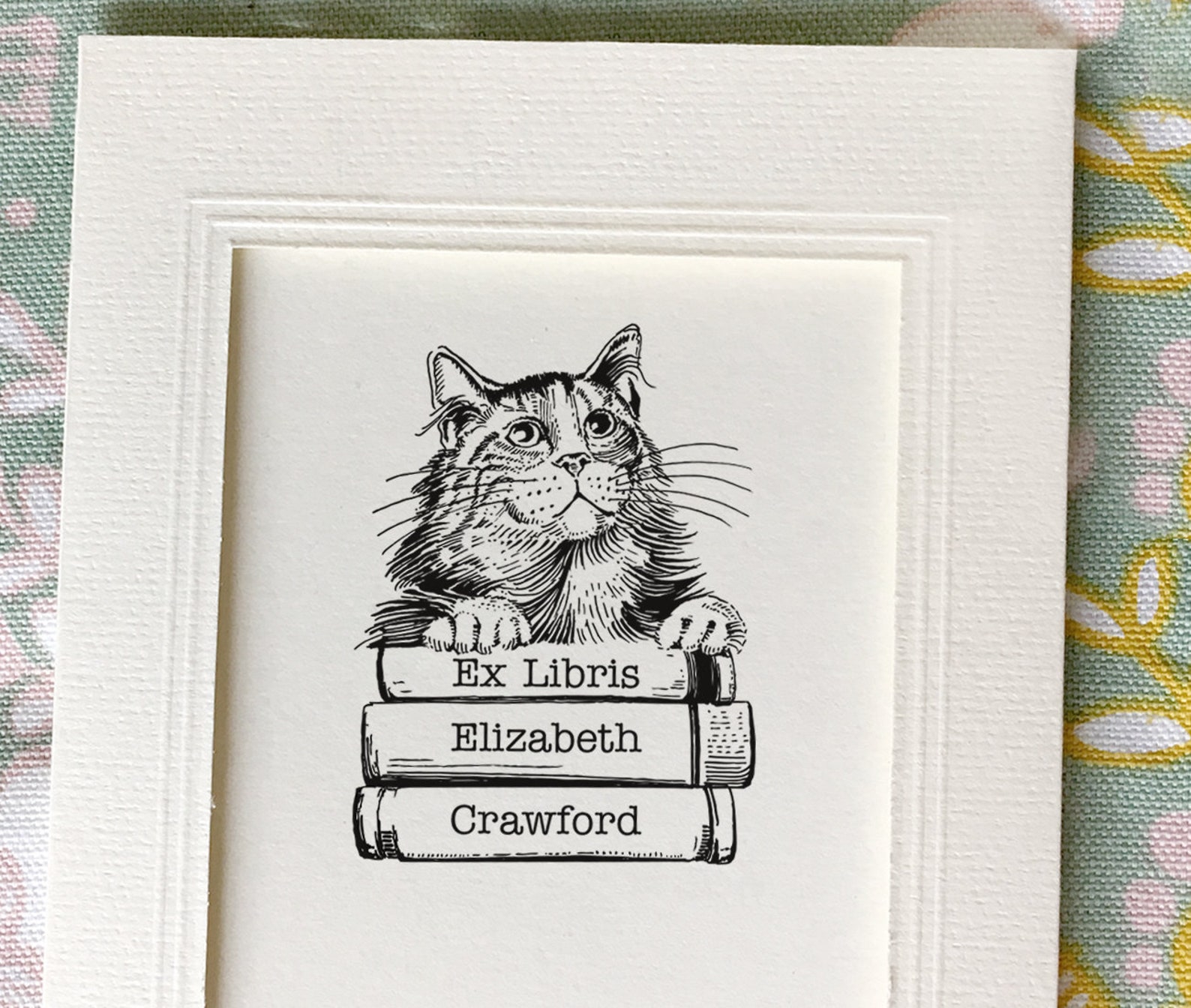Cute CAT and the BOOKS Ex Libris Stamp Hand Drawing Design - Etsy