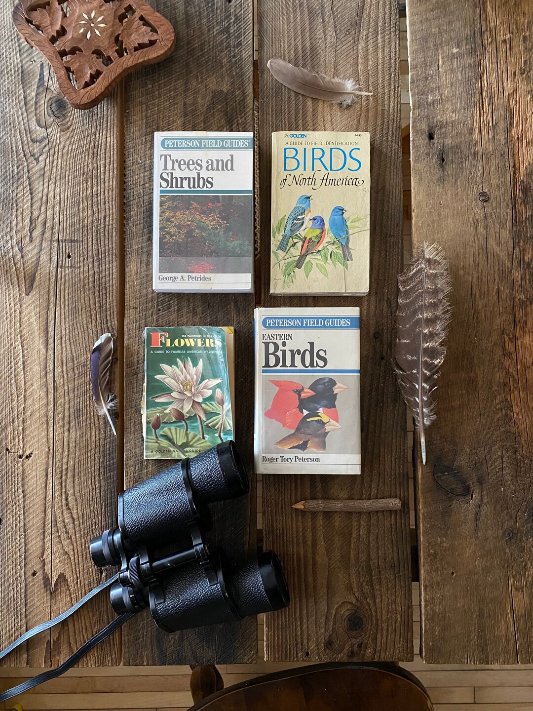 Vintage Field Guides, Birds of North America, Eastern Birds, Trees and ...