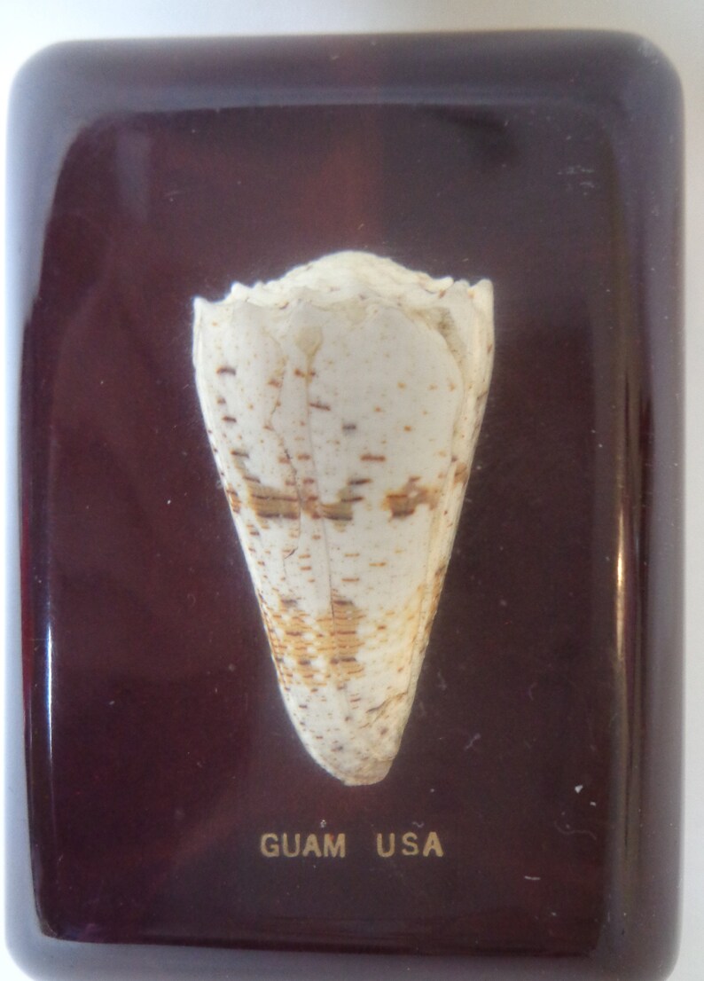 Guam USA Vintage Cone Shell Acrylic Paperweight 3 1/2 X - Etsy
