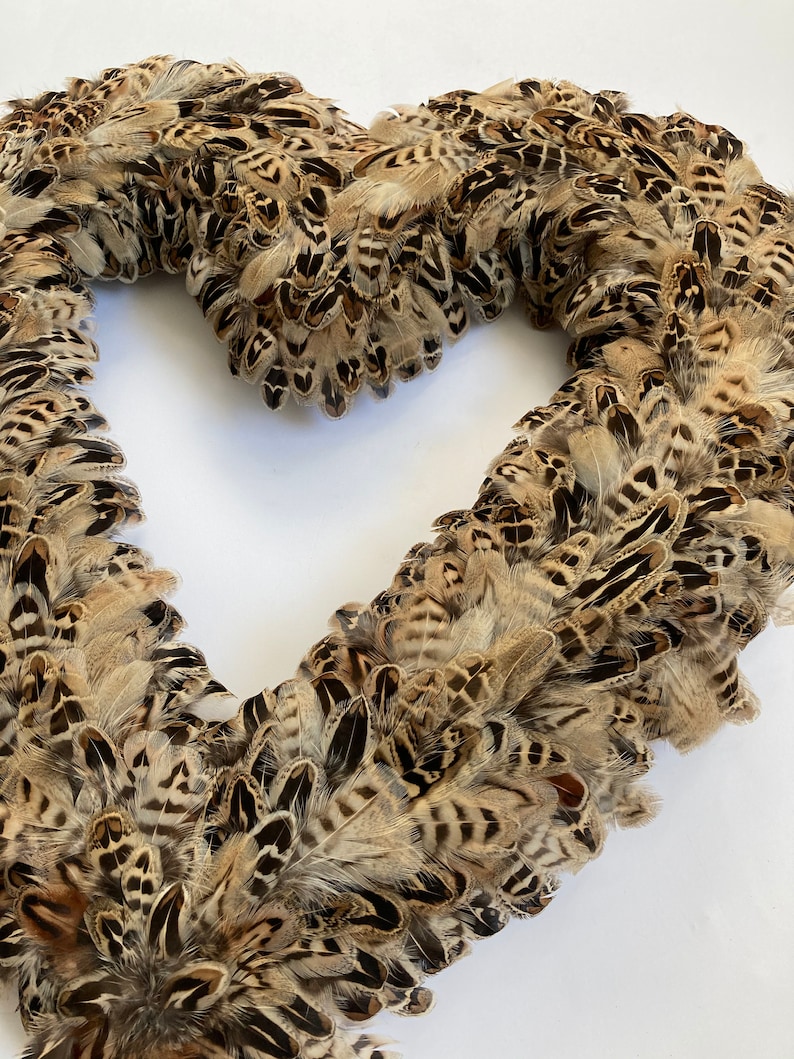 PLUCKING FABULOUS Hen Pheasant Feather Wreath - Decorative Natural ...