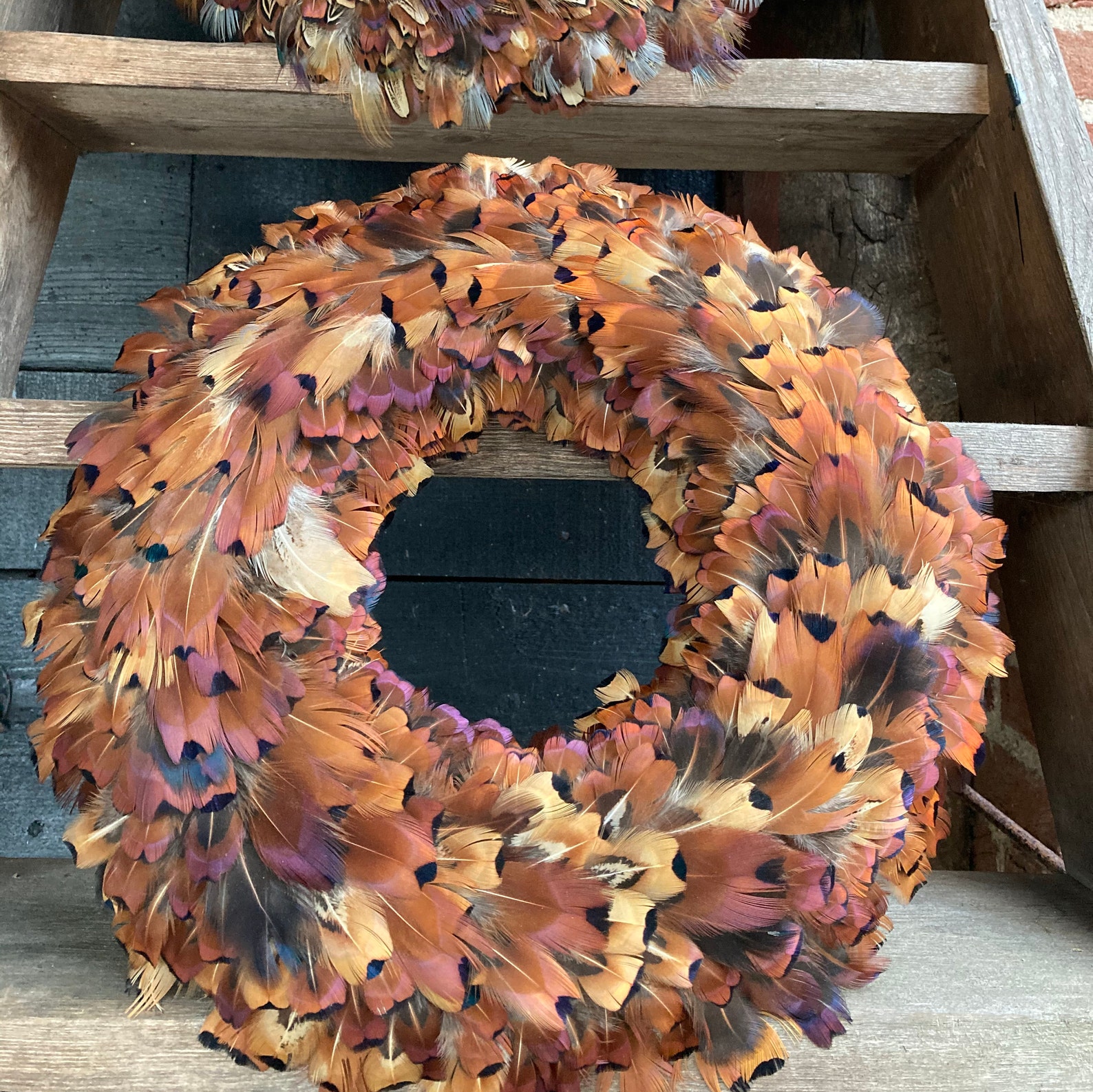 PLUCKING FABULOUS - Pheasant Feather Wreath - Orange - Decorative ...
