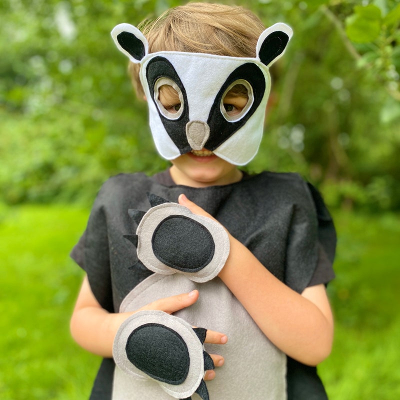Badger Kid Costume - Etsy UK