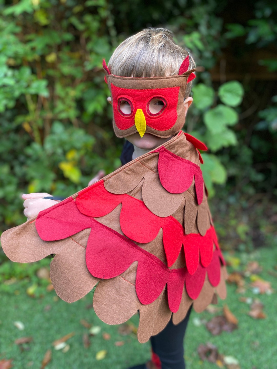 Felt Red Robin Costume With Wings & Mask - Etsy UK