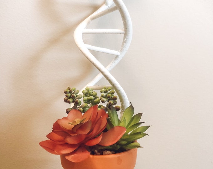 DNA/DNA Trellis/dna Plant Climber/molecule Trellis/molecule Plant ...