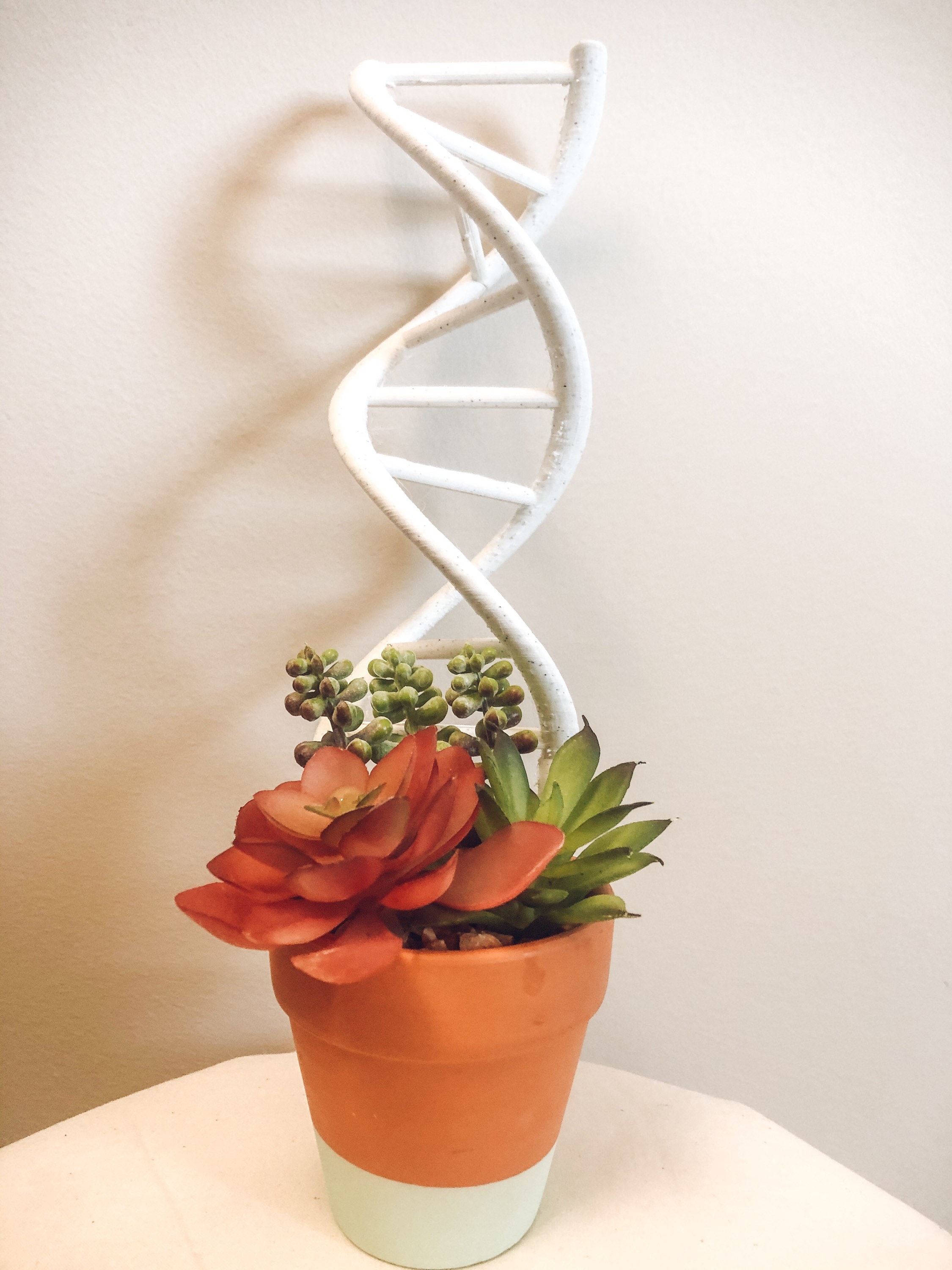 DNA/DNA Trellis/dna Plant Climber/molecule Trellis/molecule - Etsy