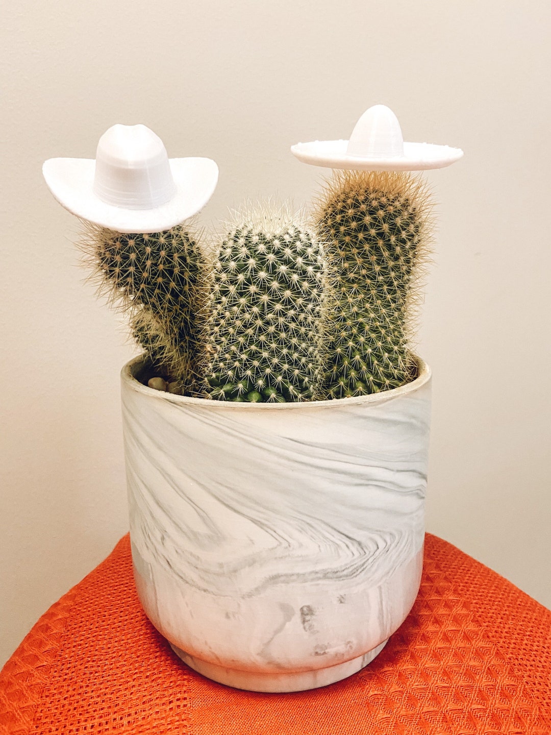 Tiny Plant Hat/ Cactus Hats/ Moss Ball Hats/ Cactus Cowboy Hat/ Moss ...