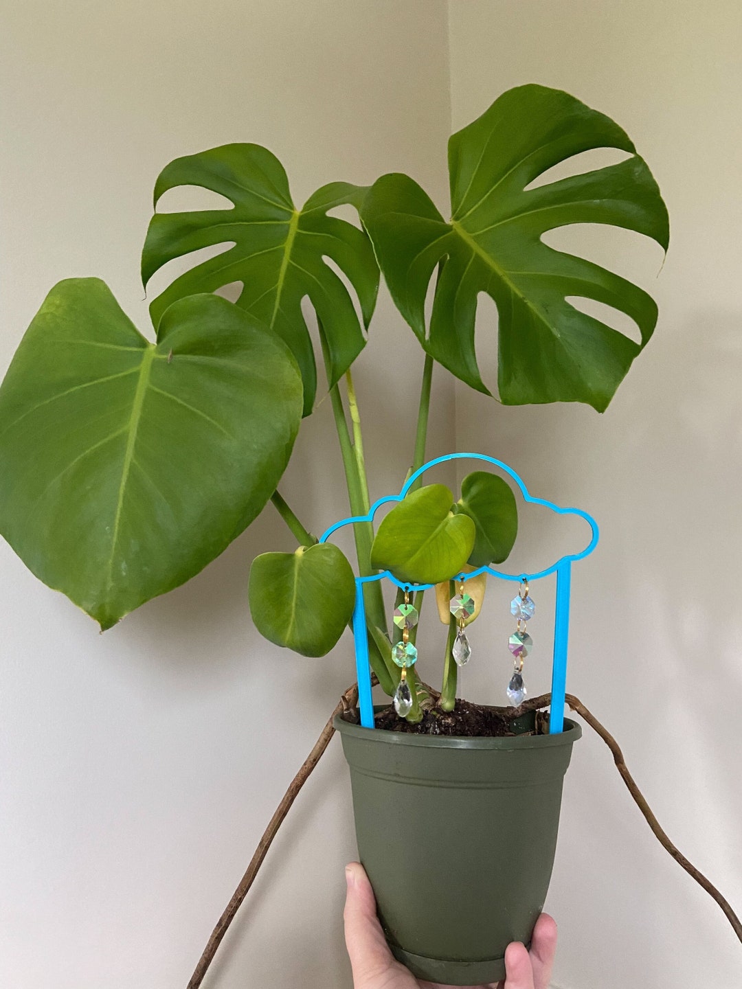 Cloud Sun Catcher Trellis/ Cloud Trellis/ Rain Cloud Trellis ...