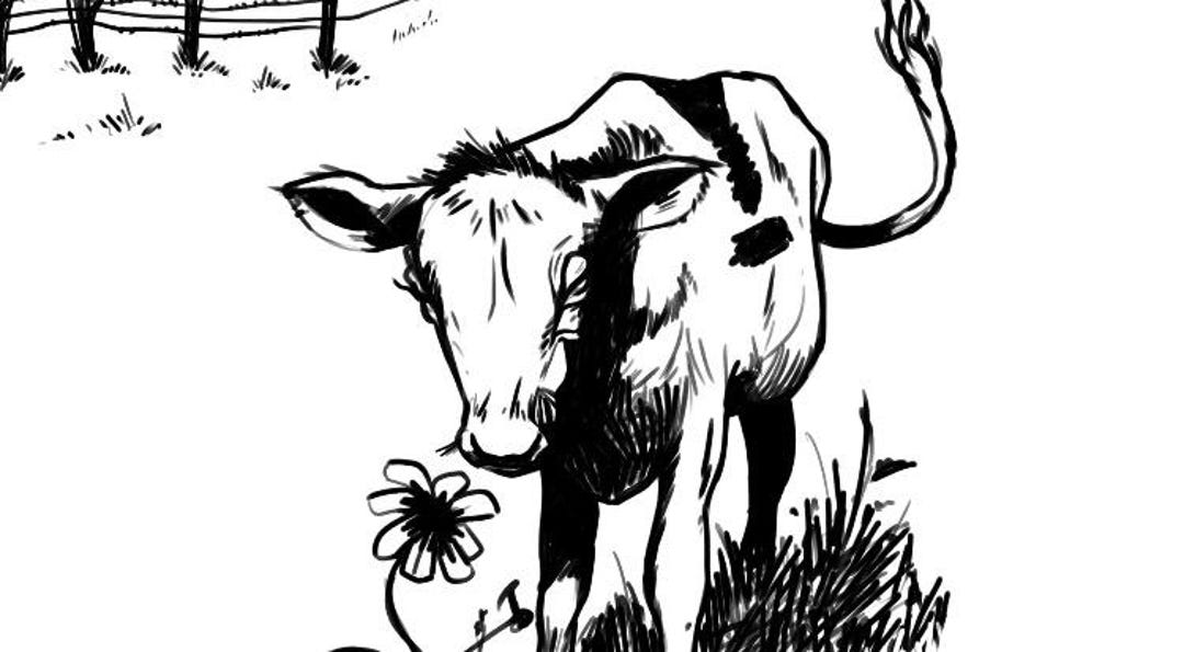 Ferdinand the Bull Complete Musical Story Unit - Includes Videos ...