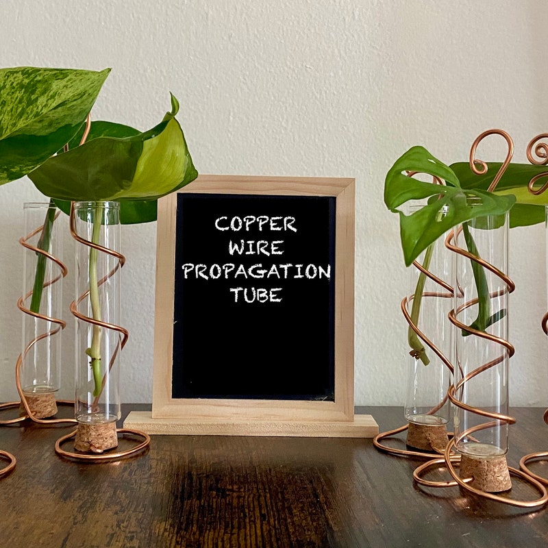 Propagation Tubes - Etsy