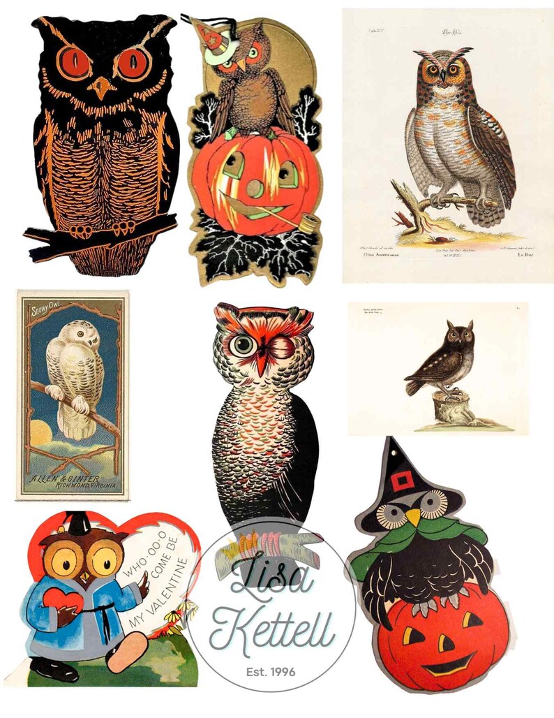 Vintage Owl Medley Paper Cuts - Etsy