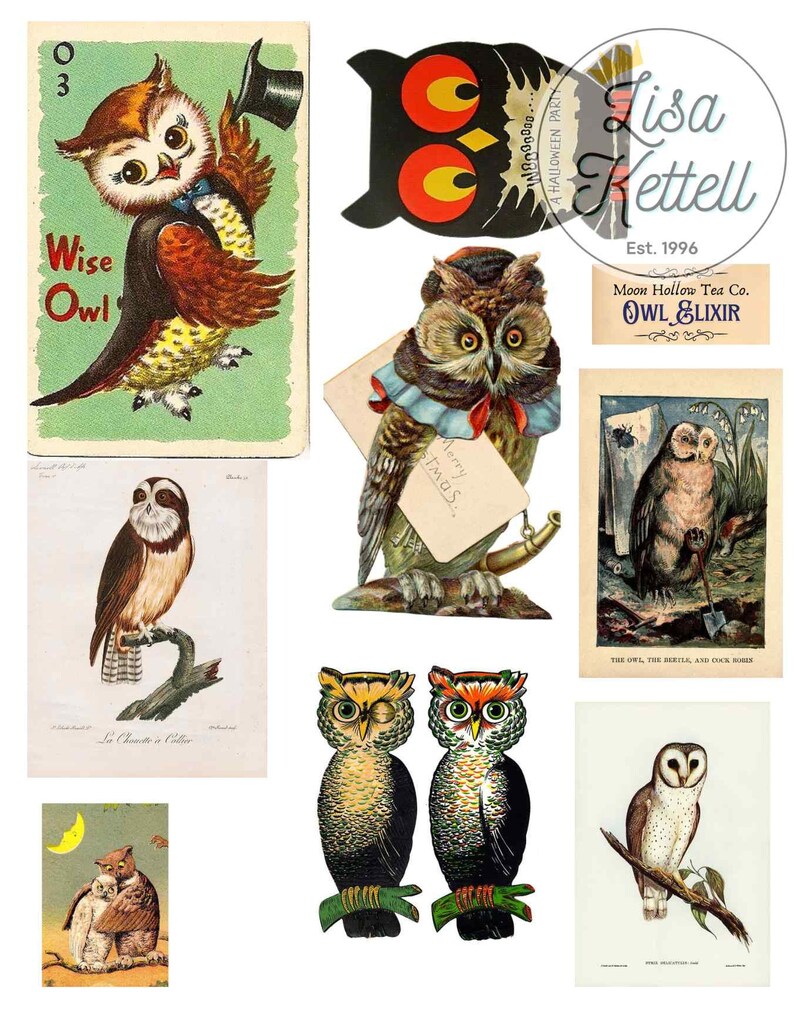 Vintage Owl Medley Paper Cuts - Etsy