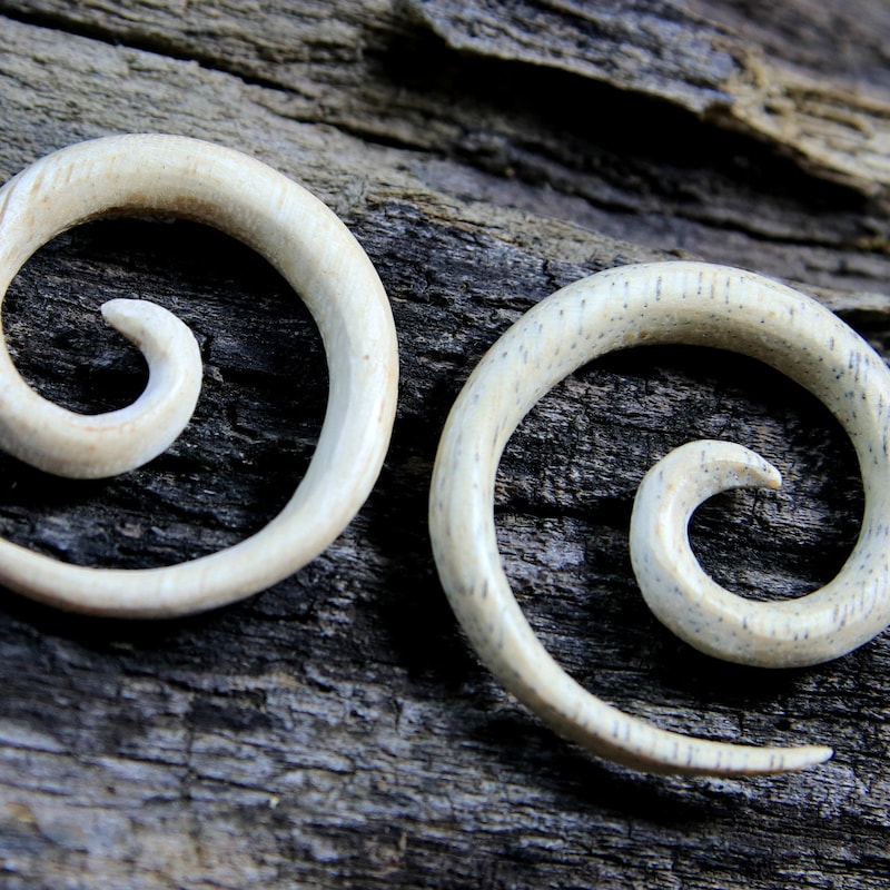 Spiral Wood Earrings - Etsy