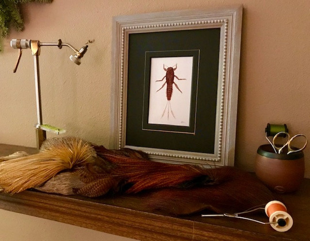 Pale Morning Dun Nymph Watercolor/pen & Ink Illustration - Etsy