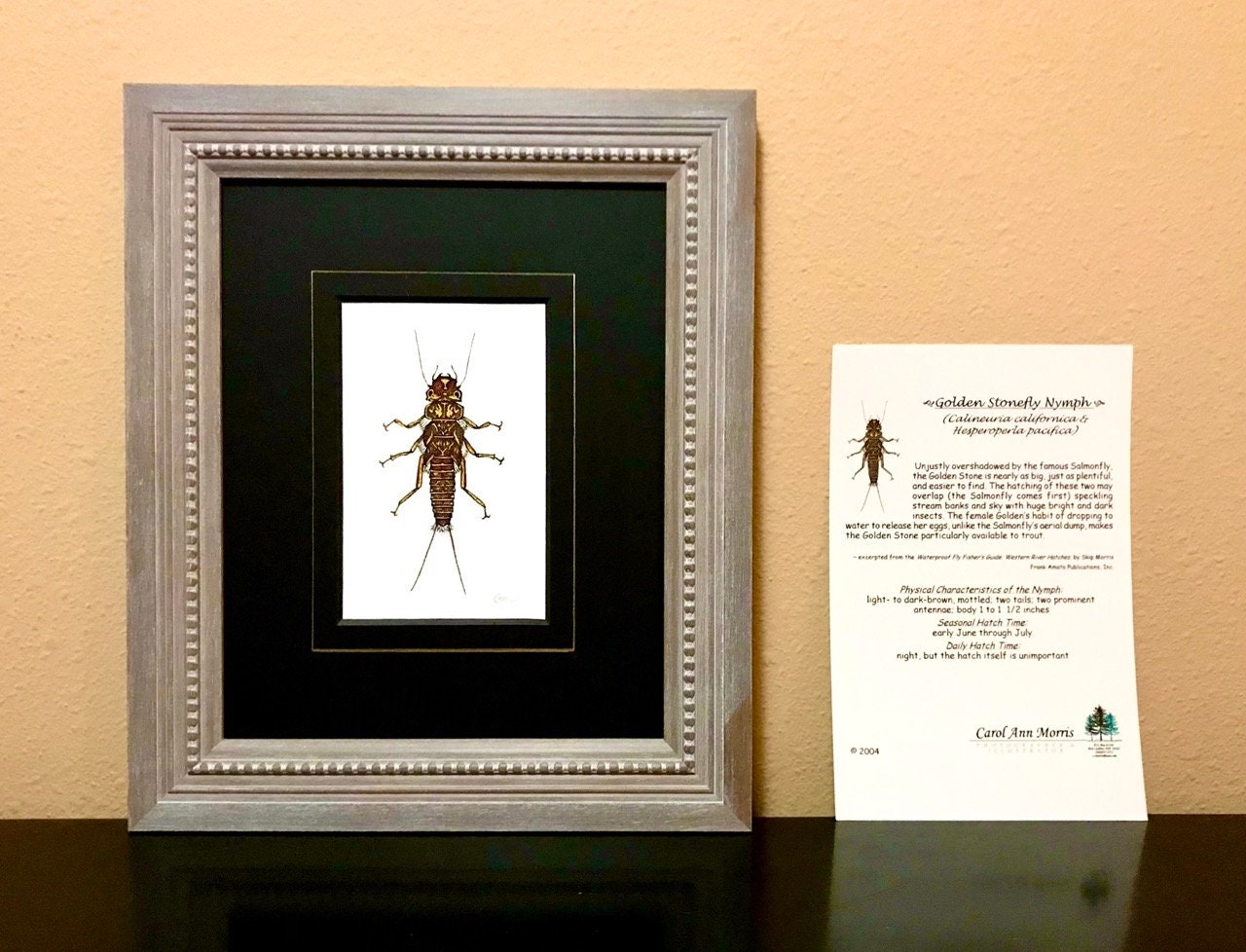 Golden Stone Nymph Watercolor/pen & Ink Illustration - Open Edition ...