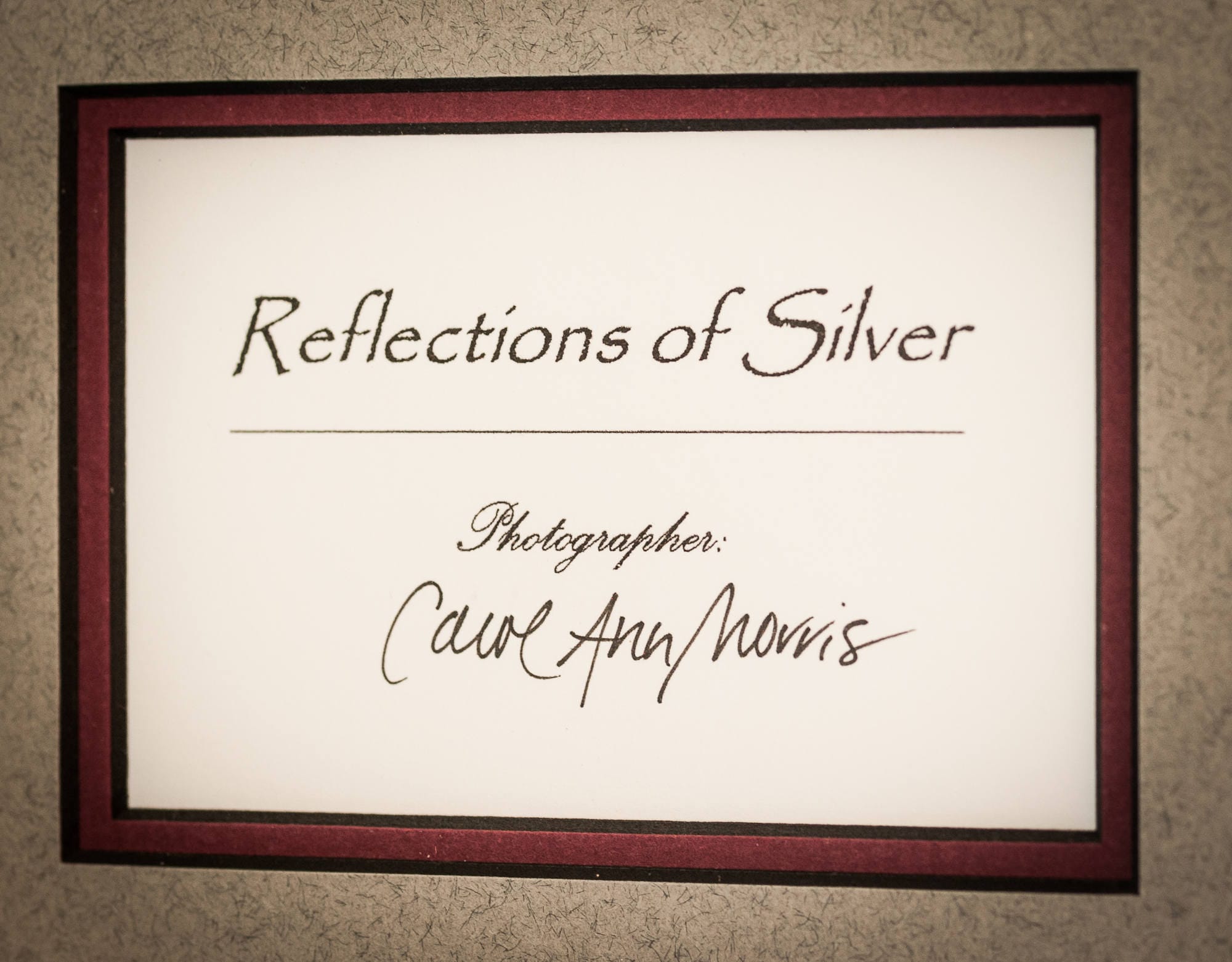 Reflections of Silver Shadow Box With Three Skip Morris Display Flies ...
