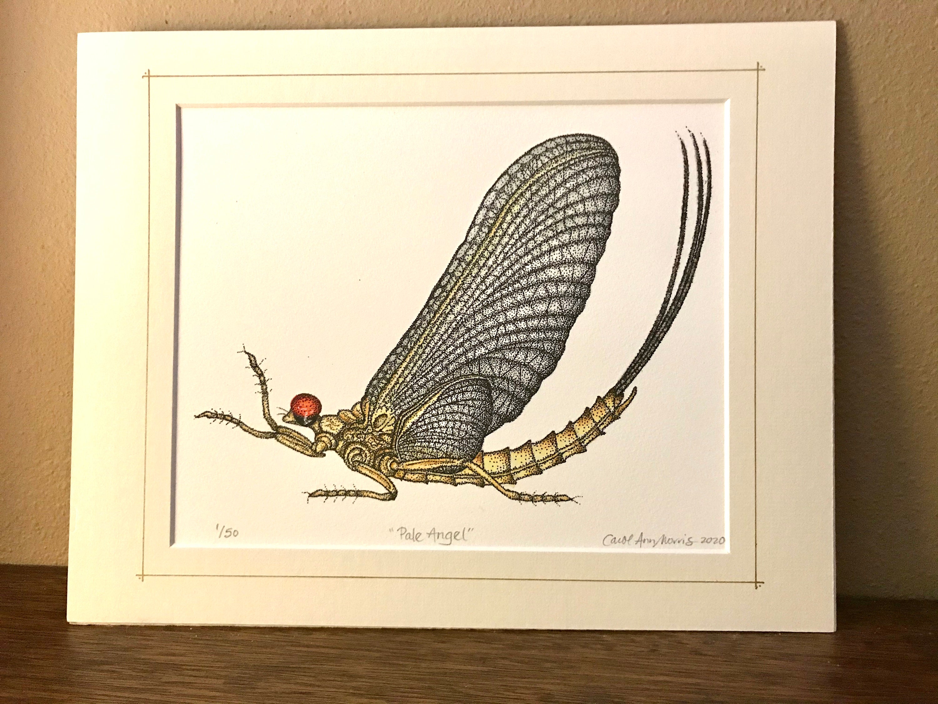 Pale Angel (pale Morning Dun Mayfly) - Limited-edition of 50 Prints - Etsy