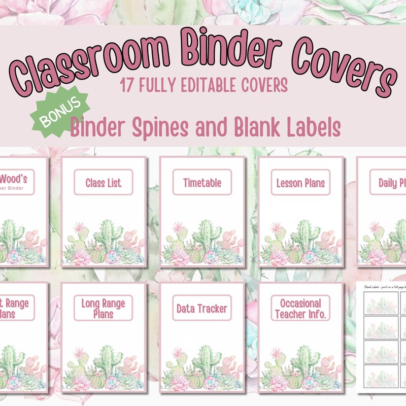 Classroom Cactus - Etsy