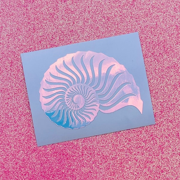 Ammonite Shell - Etsy