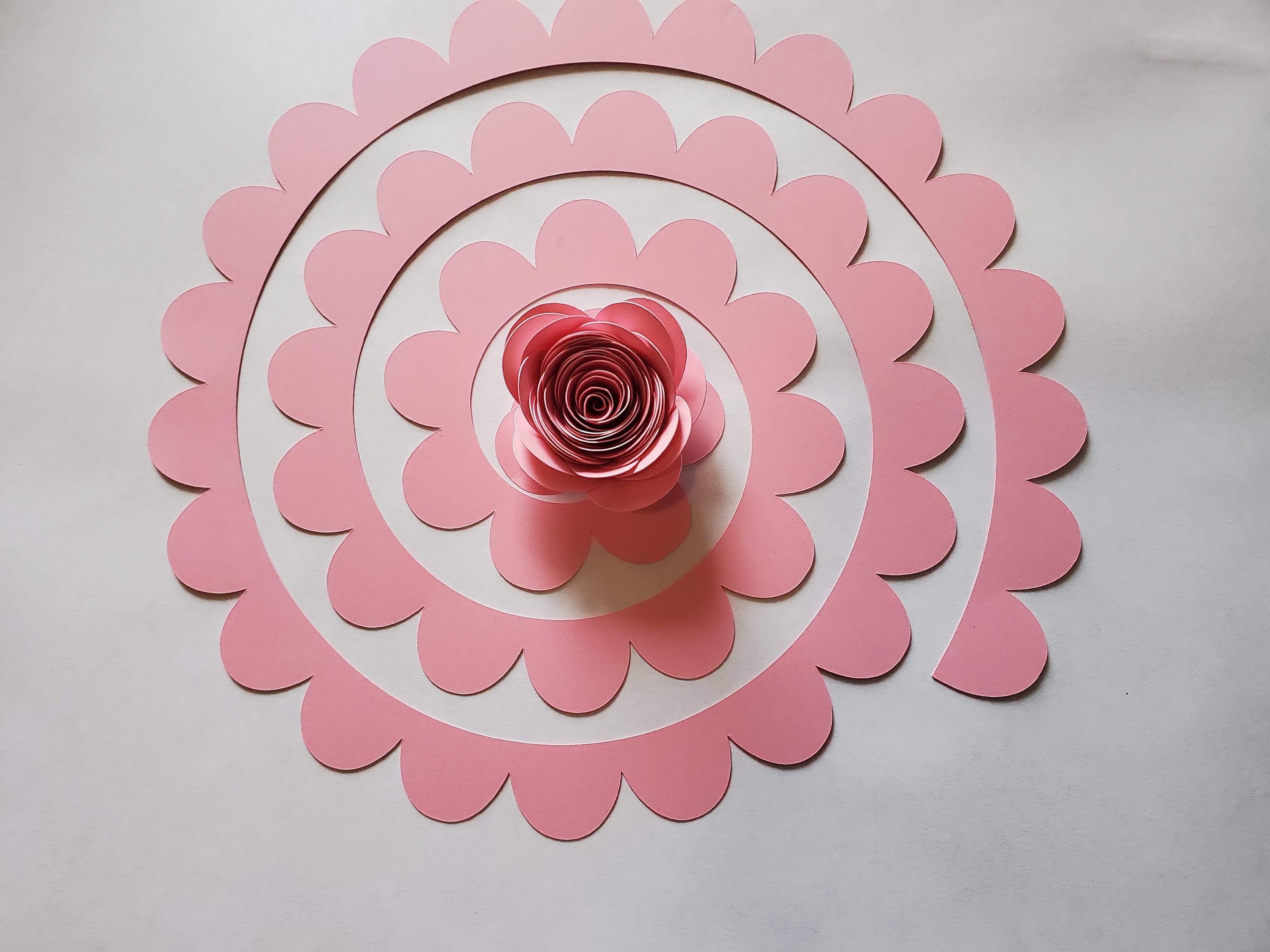 Pink Paper Flowers DIY Paper Rose Unrolled Paper Flower - Etsy
