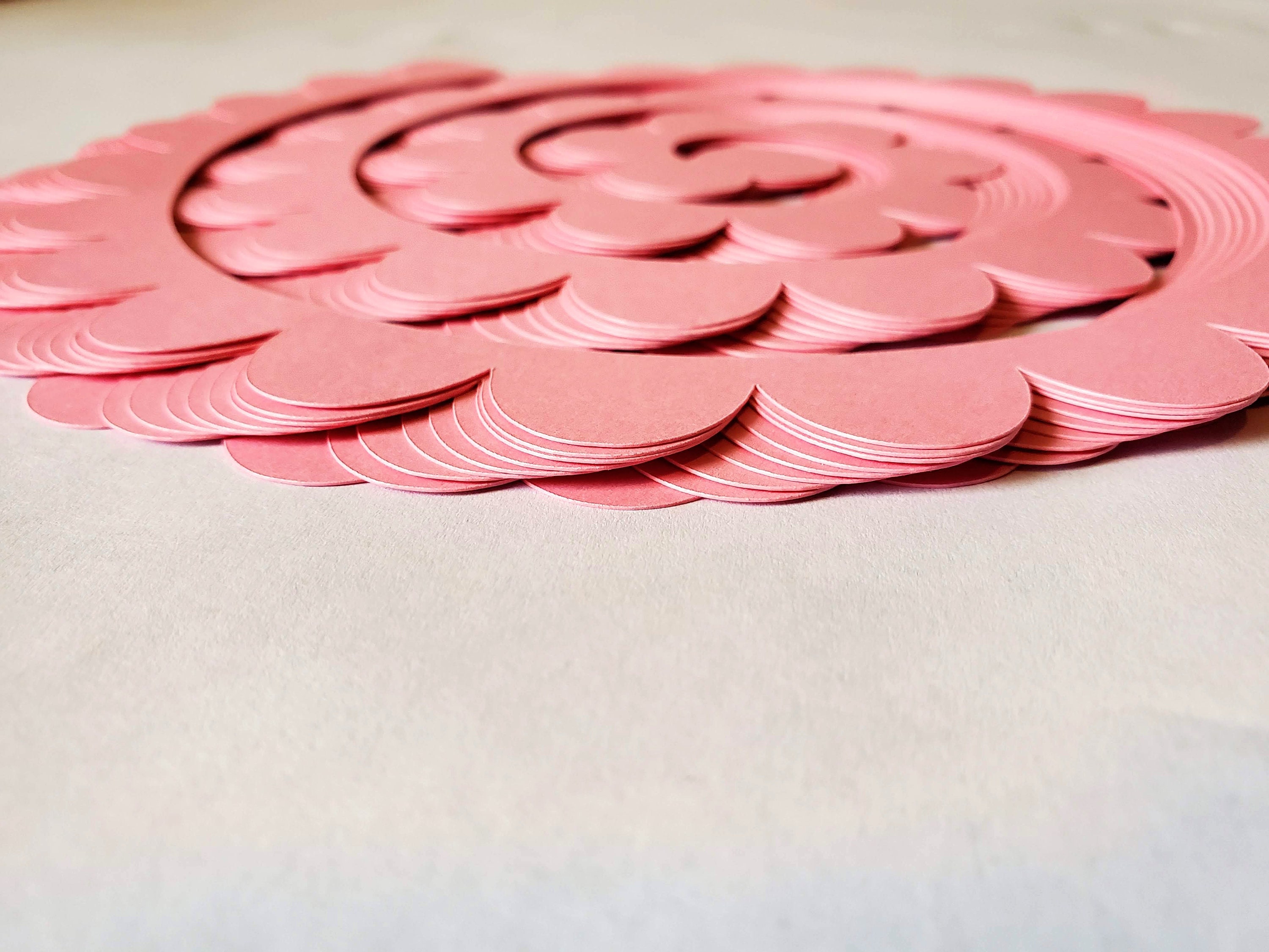 Pink Paper Flowers DIY Paper Rose Unrolled Paper Flower - Etsy