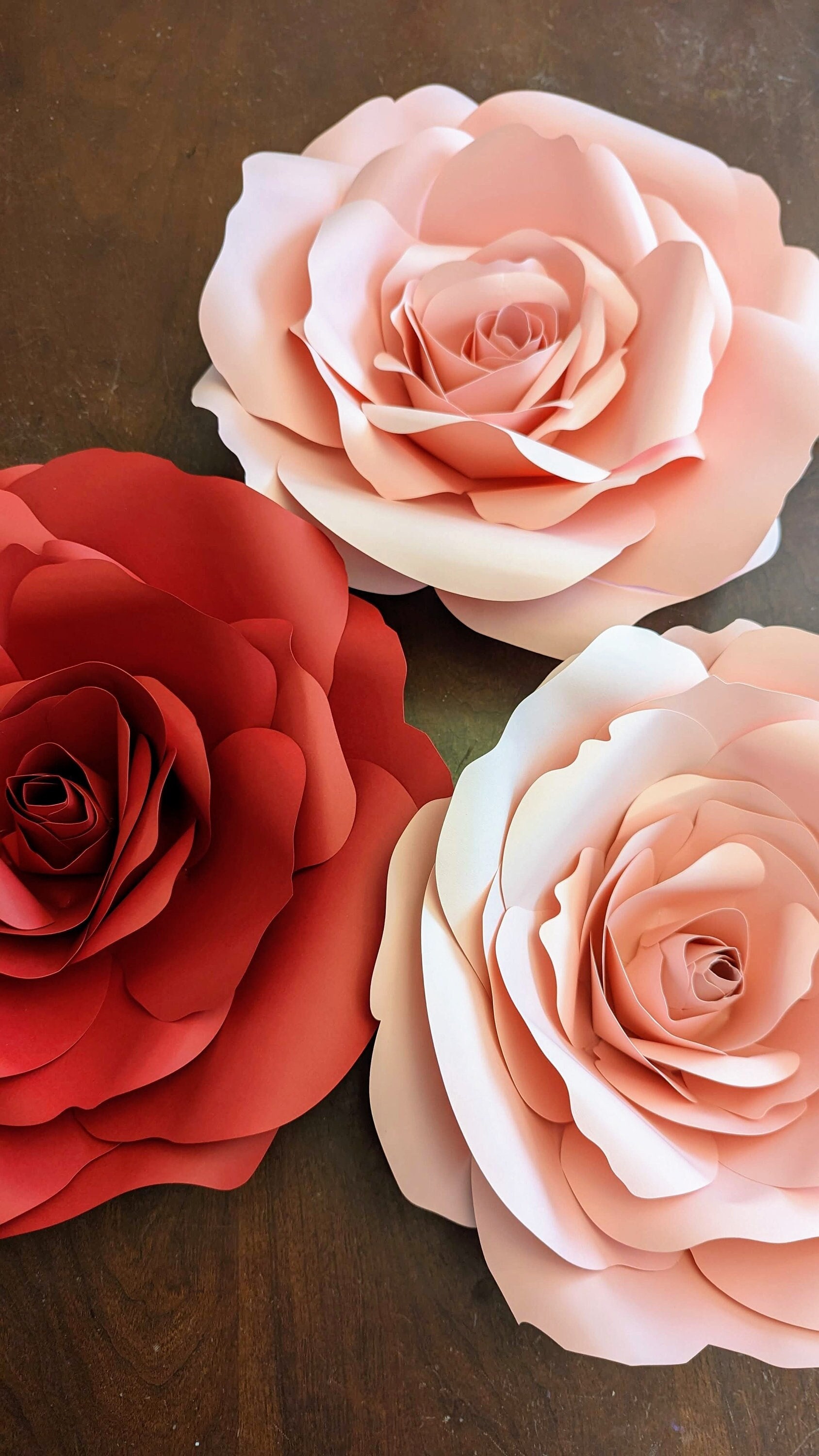 Large Paper Rose, Giant Paper Wall Flowers, Paper Flower Wall ...