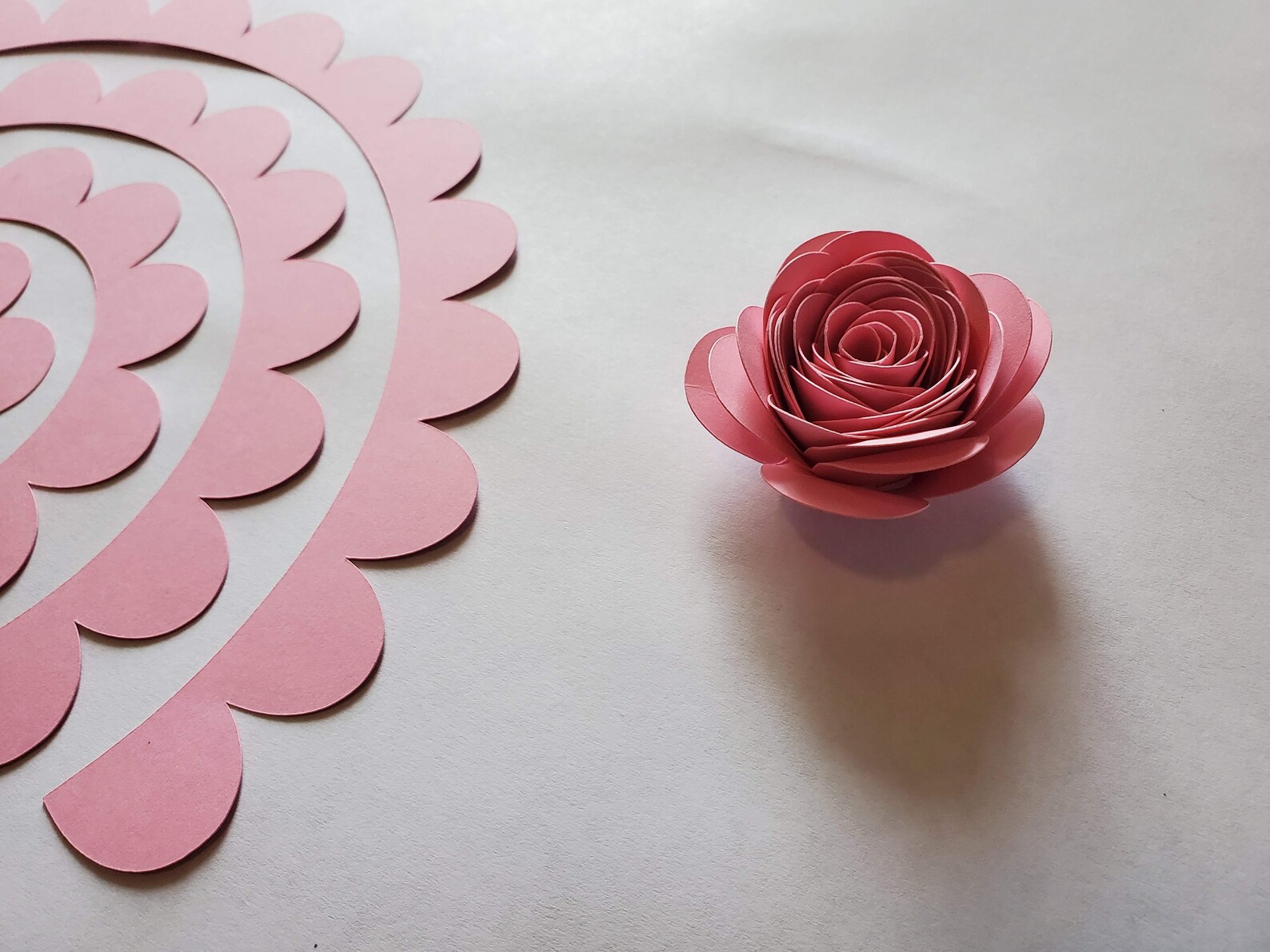 Pink Paper Flowers DIY Paper Rose Unrolled Paper Flower - Etsy