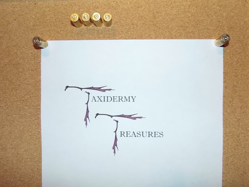 Bullet Push Pins 6 Bullet Thumb Tacks - Etsy