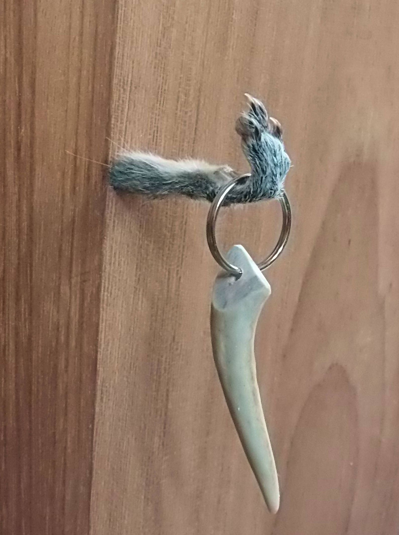 Squirrel Foot Key Holder Jewelry Holder Hook - Etsy