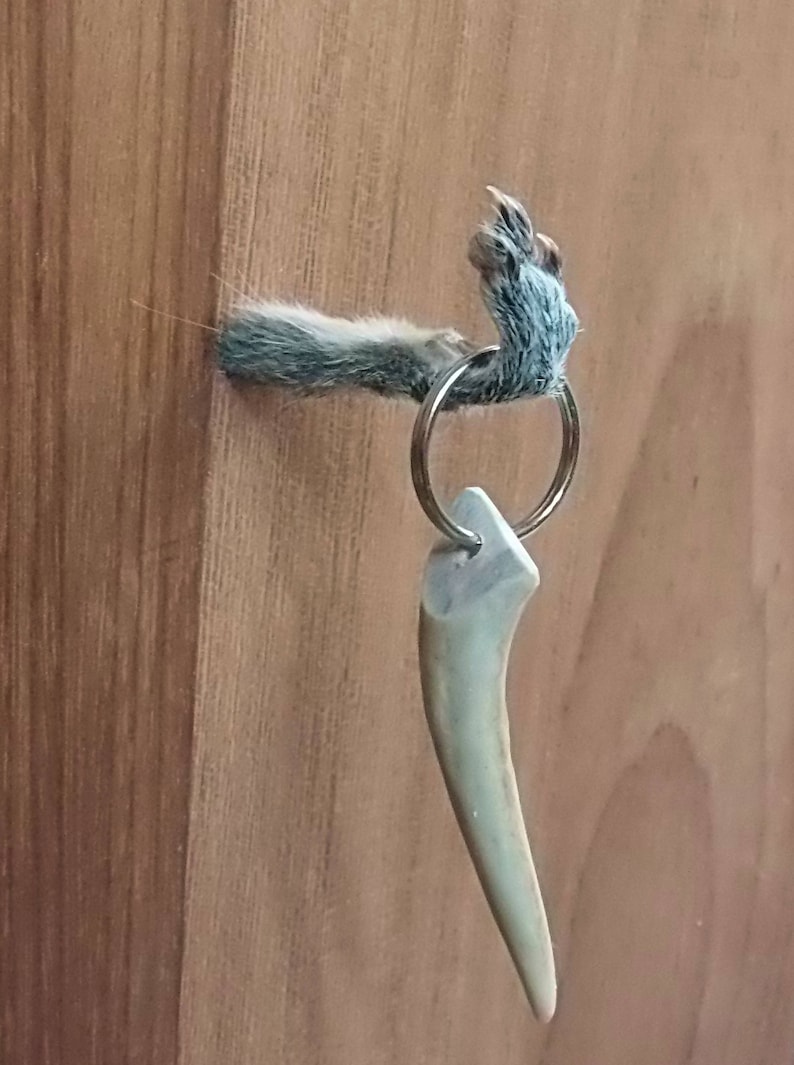 Squirrel Foot Key Holder Jewelry Holder Hook - Etsy