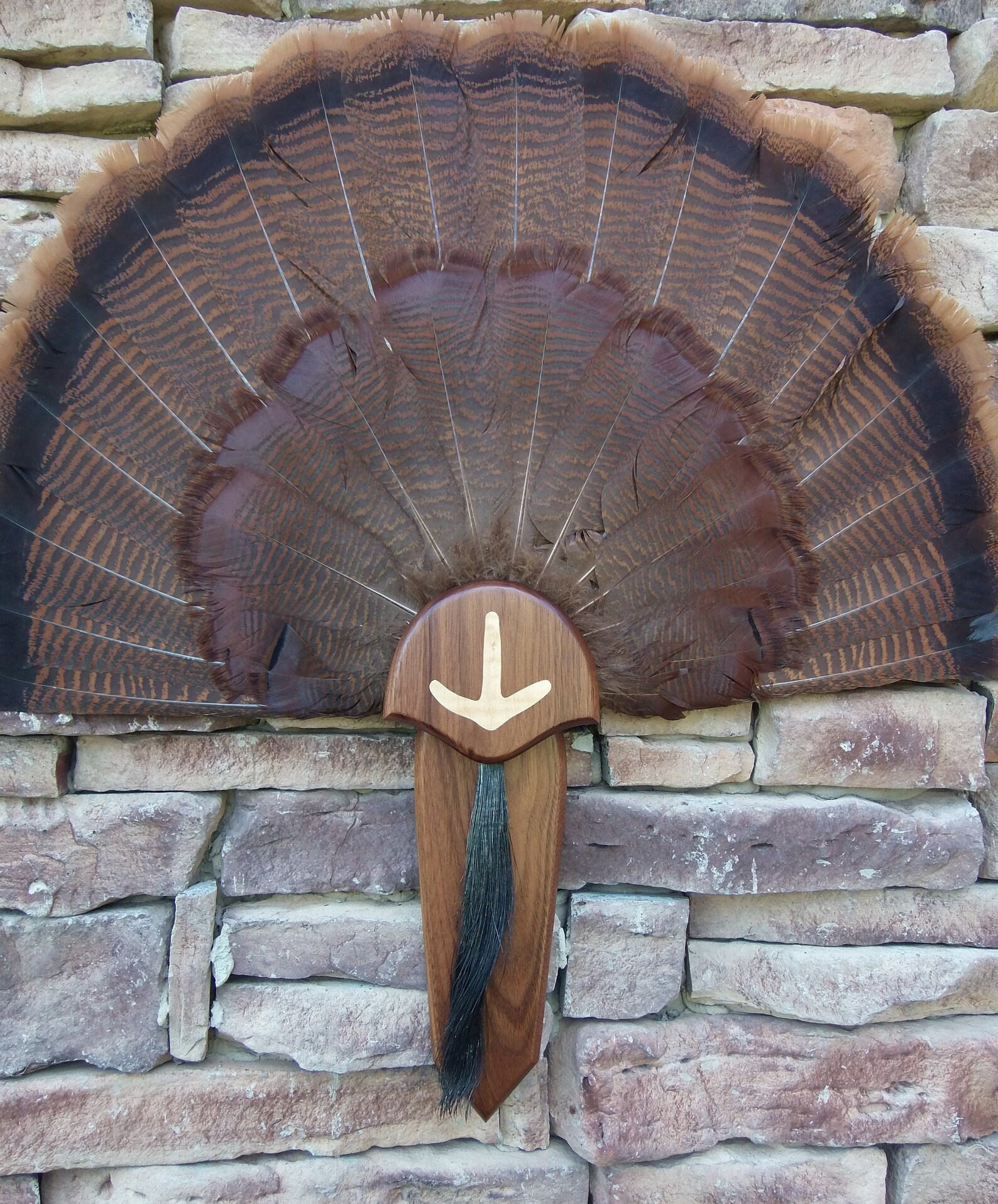 Walnut Turkey Fan and Beard Plaque With Curly Maple Inlay Turkey Fan ...