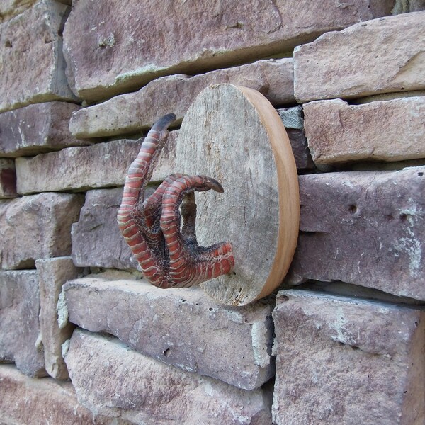 Chicken Foot Middle Finger - Etsy