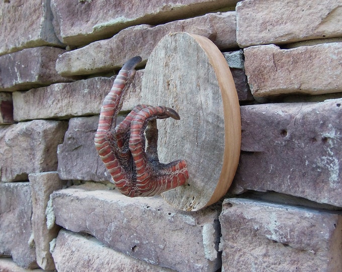 Taxidermy Middle Finger Turkey Foot Wall Plaque - Etsy