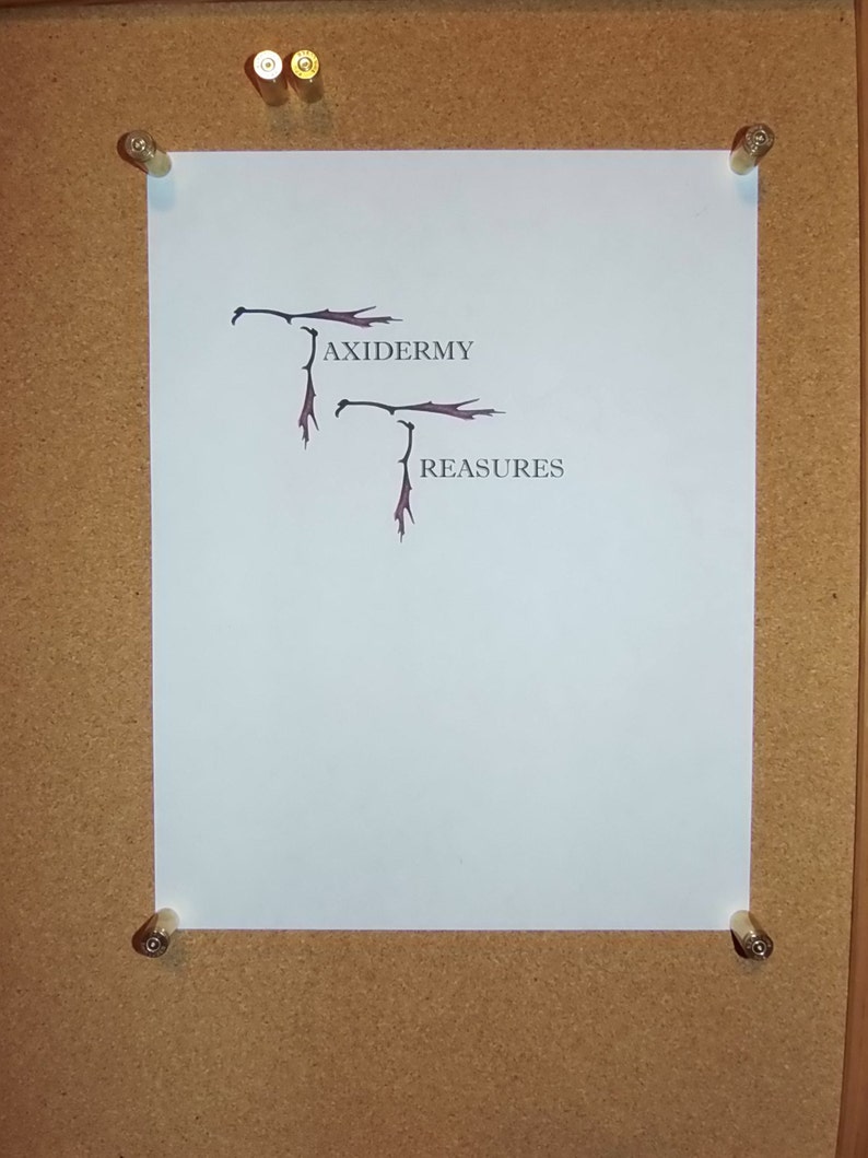 Bullet Push Pins 6 Bullet Thumb Tacks - Etsy