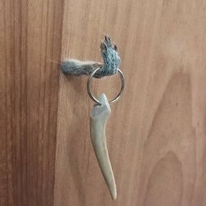 Squirrel Foot Key Holder Jewelry Holder Hook - Etsy